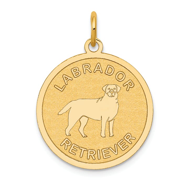 14k Yellow Gold Labrador Retriever Disc Charm - 154PVA