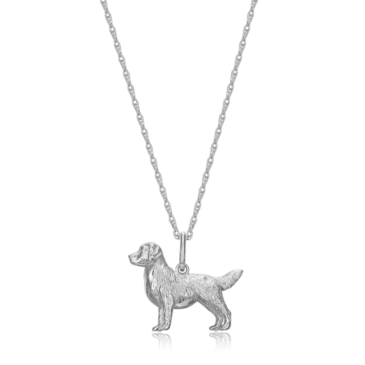Rhodium Over Sterling Silver Golden Retriever Pendant with Chain - 13NWXA